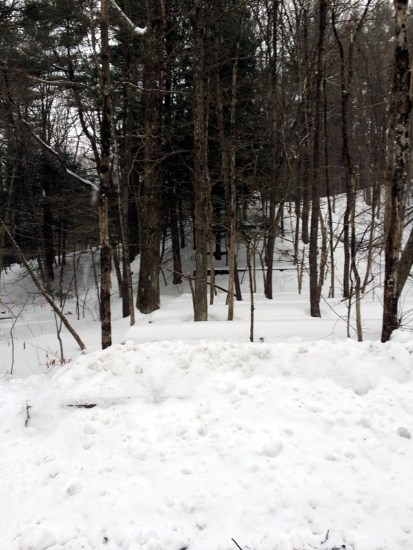 Central New England Railroad - Silvernails & Rhinecliff Branch